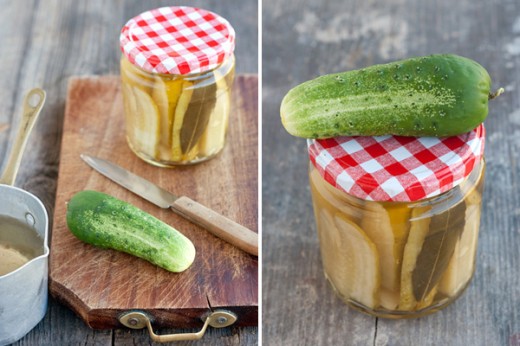 Pickled cucumber gherkins